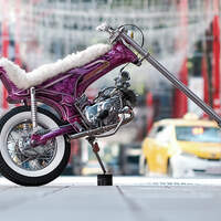 Chop Dax aus Mike's Garage: Honda Dax Umbau als Chopper | MOTORRADonline.de