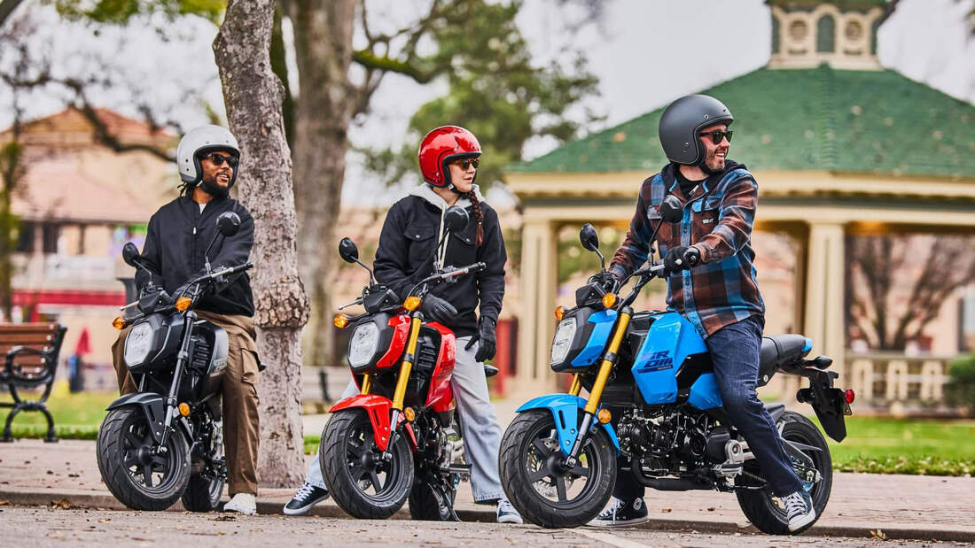 Kult-Bike Honda MSX 125 Grom ab September in Deutschland ...