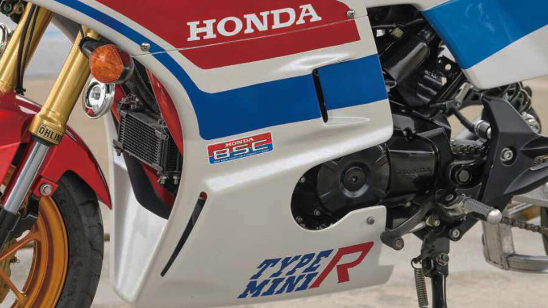 Honda MSX 125 Grom: Custombike Type R Mini aus Japan | MOTORRADonline.de
