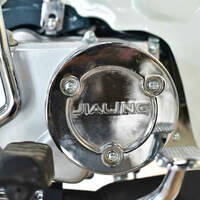 Jialing Coco: 125er Super Cub-Klon mit Seitenwagen | MOTORRADonline.de