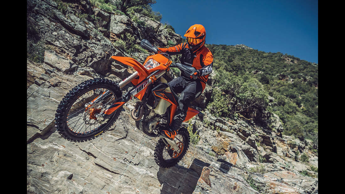 Beliebte 48-PS-Motorräder Gesamtjahr 2021 | MOTORRADonline.de