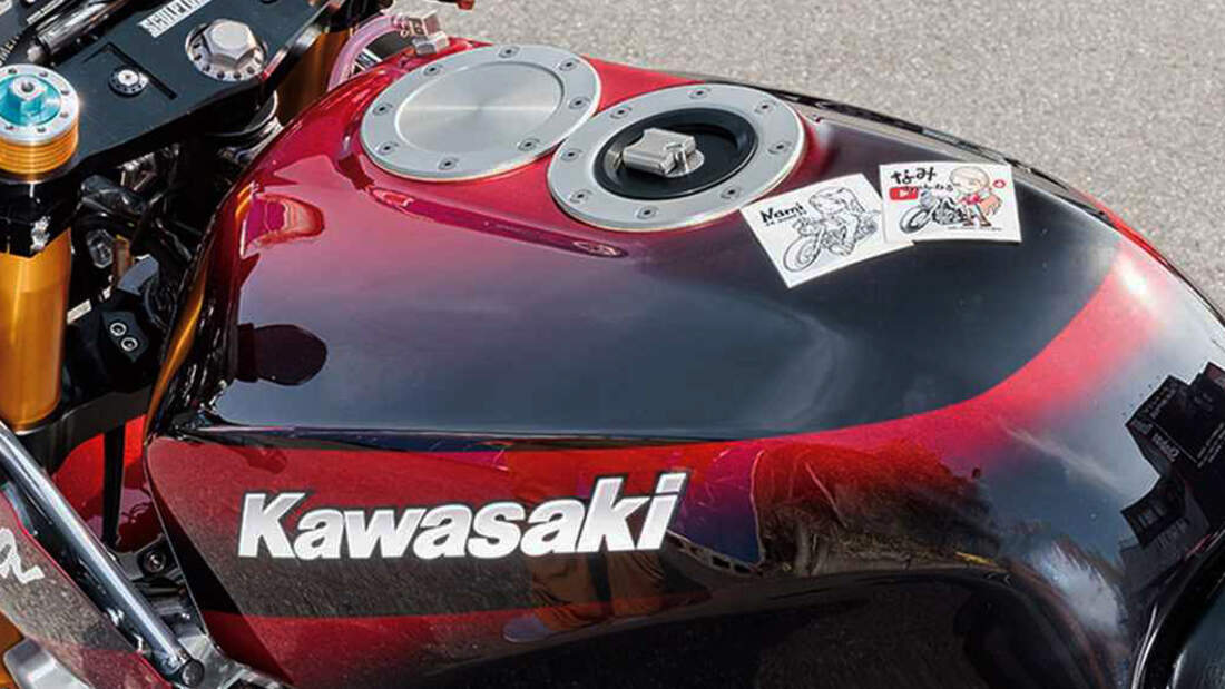 Vein veredelte Kawasaki GPZ 900 R von Shabon Dama | MOTORRADonline.de