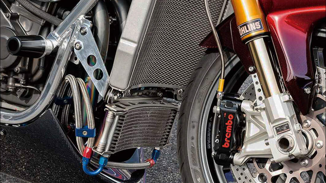 Vein veredelte Kawasaki GPZ 900 R von Shabon Dama | MOTORRADonline.de