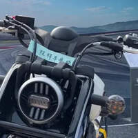 Triumph-Bobber-Kopie von Piaggio-Partner: Cyclone RA 600 Bobber ...