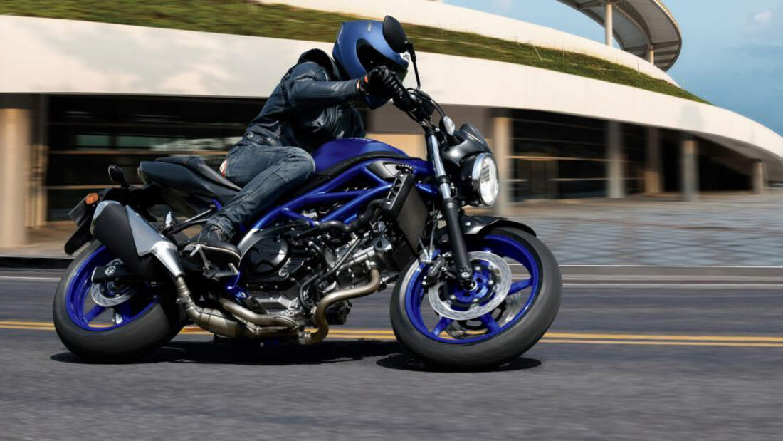 Noch einmal neue Farben für 2025: Suzuki SV 650 | MOTORRADonline.de
