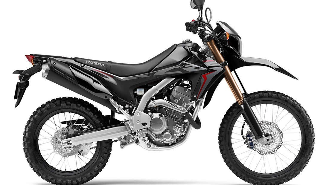 Honda CRF 250 R und Honda CRF 450 R (2020) - MOTORRADonline.de